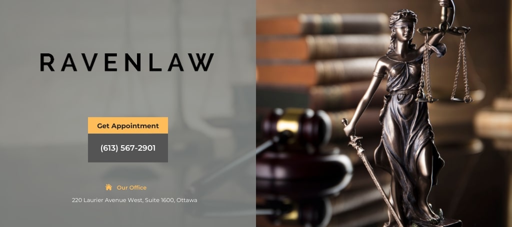 The 8 Best Employment Lawyers in Ottawa [2026 ]