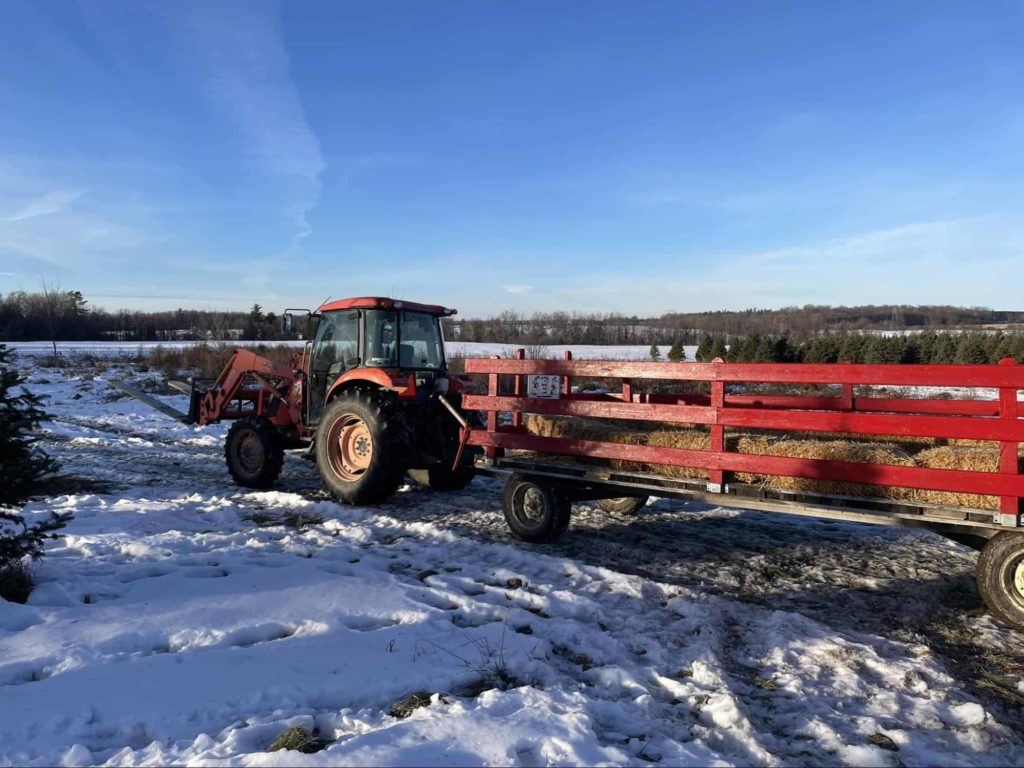 5 of the Best Tree Farms Ottawa Has to Offer [2025 ]