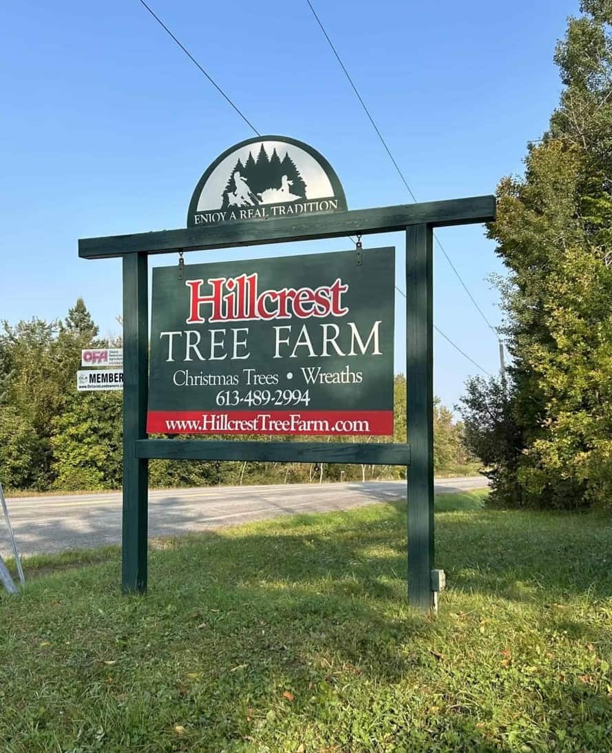 5 of the Best Tree Farms Ottawa Has to Offer [2026 ]