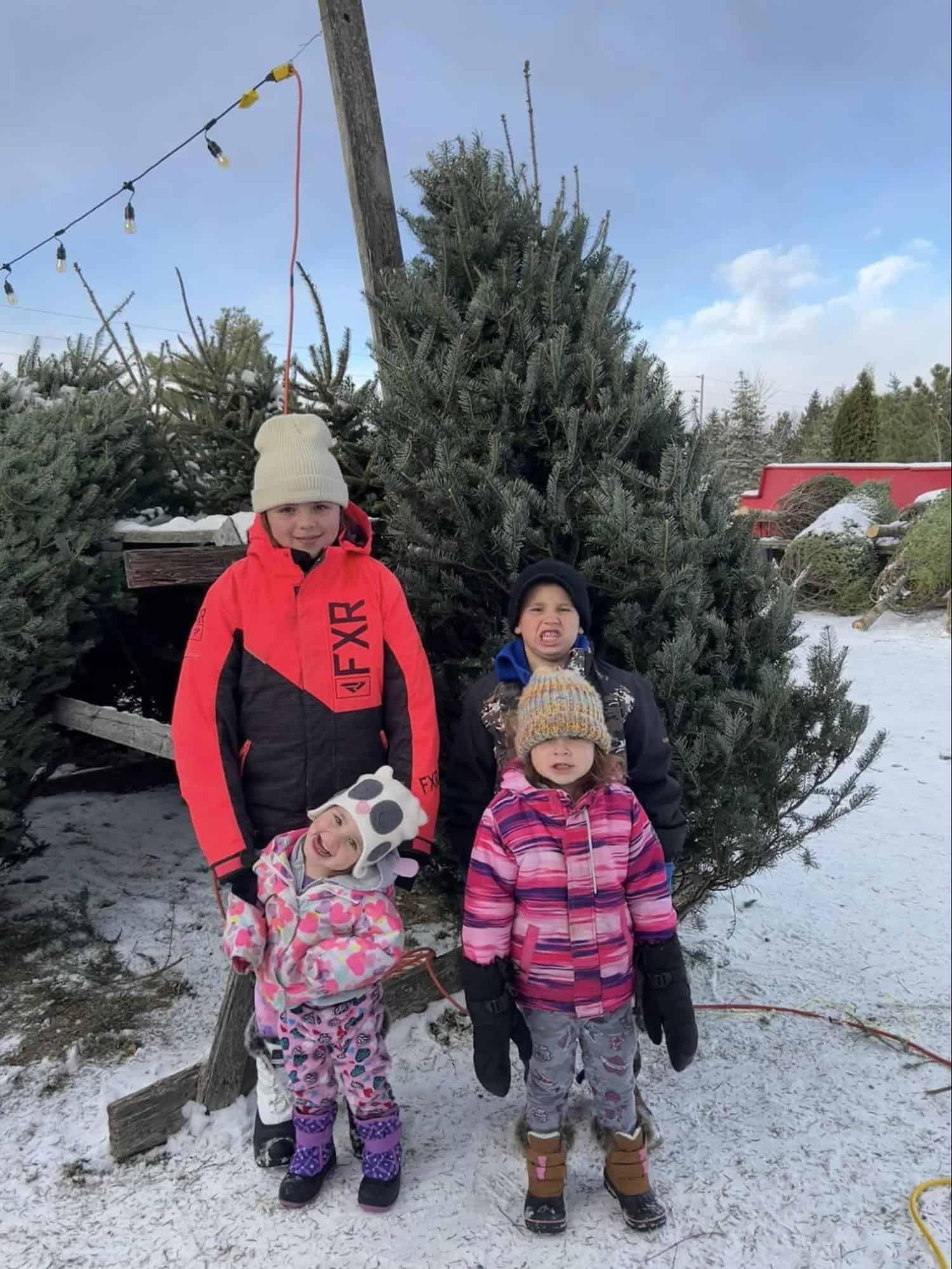 5 of the Best Tree Farms Ottawa Has to Offer [2025 ]