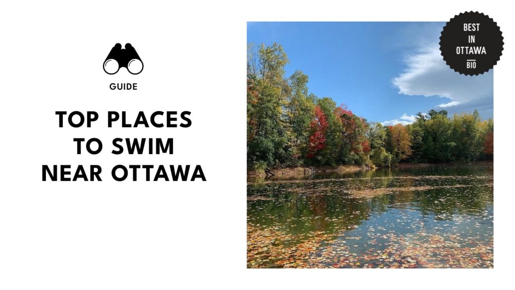 Unbelievable Swimming Spots Around Ottawa (Fun Guaranteed!) [2025]