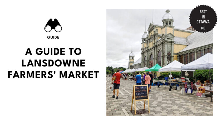This Guide Guarantees a Fantastic Lansdowne Market Adventure [2026]