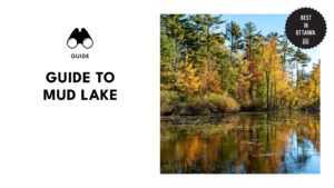 Adventurer’s Guide to Exploring Mud Lake Like a Pro