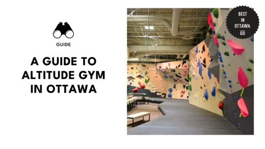 A Guide to Altitude Gym That’ll Leave You on a High